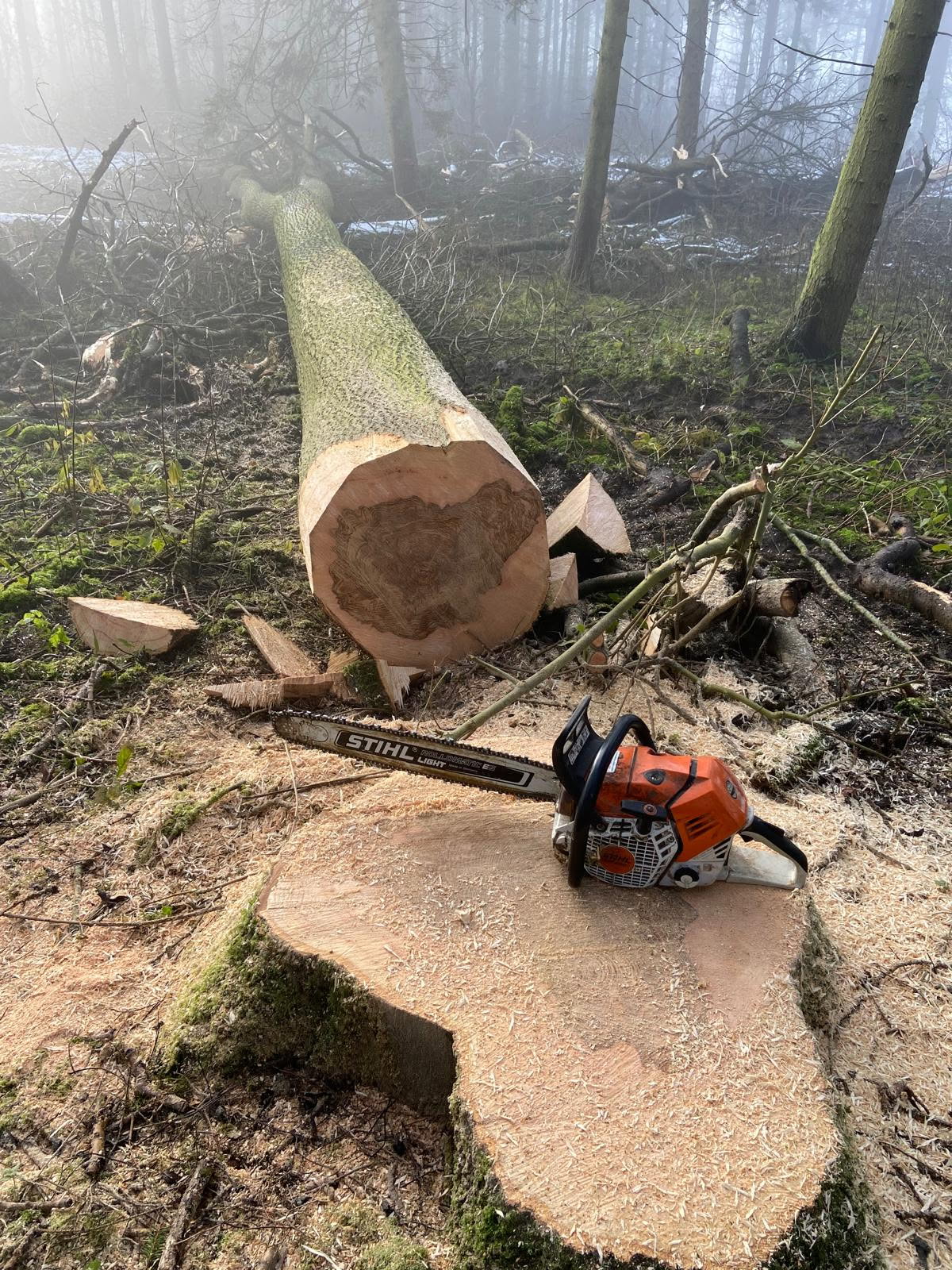 Forestry Contractors Northumberland | ADS Timber